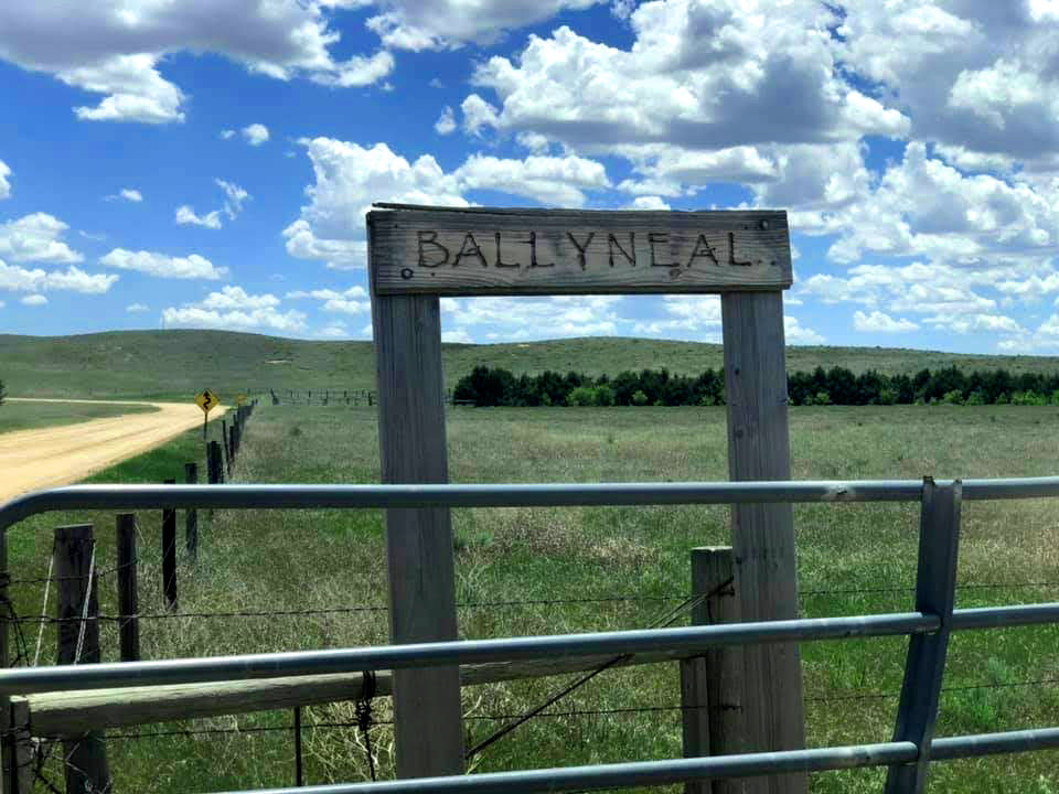 Ballyneal Golf Course Review, Background, Info and Experience – WYLD1